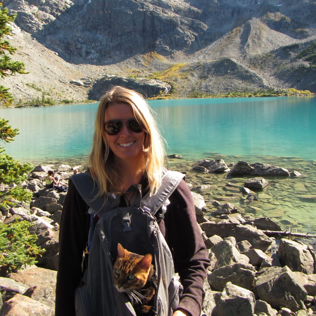 Meet The Team - GCMRD